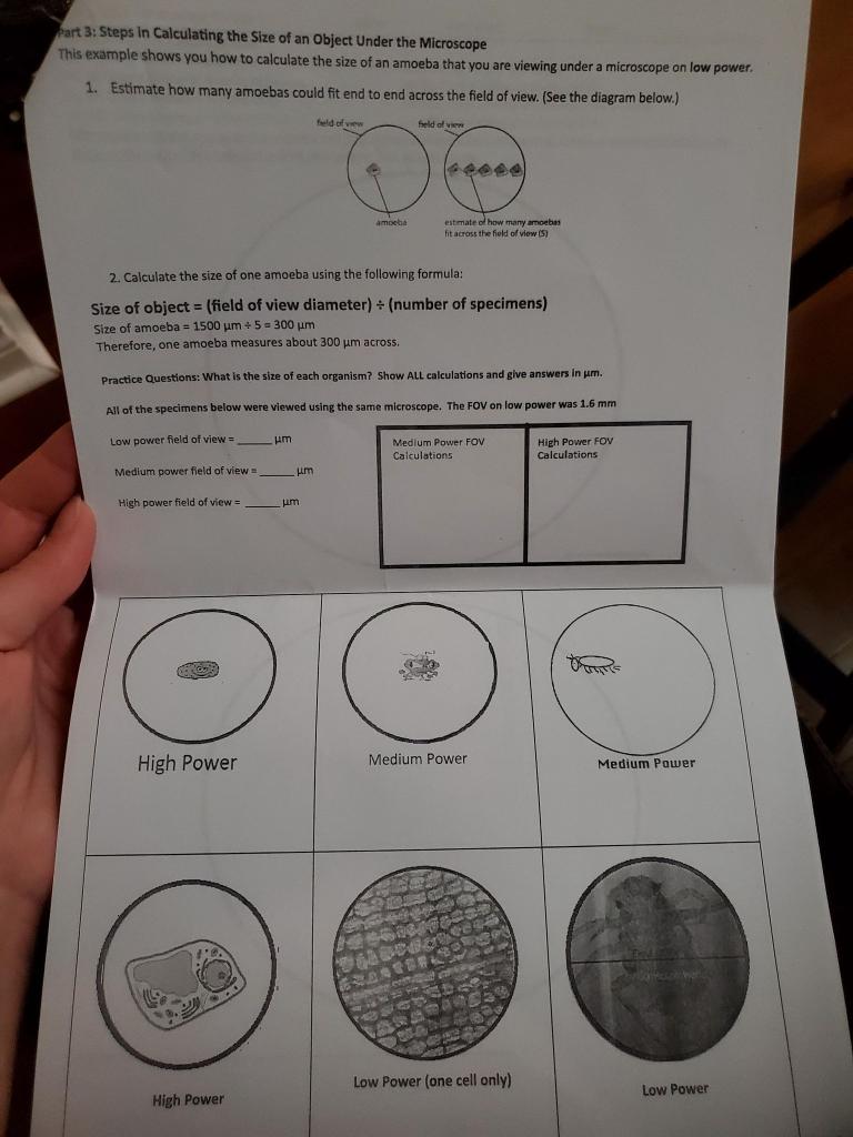 Part 1: Finding Total Magnification When you look | Chegg.com