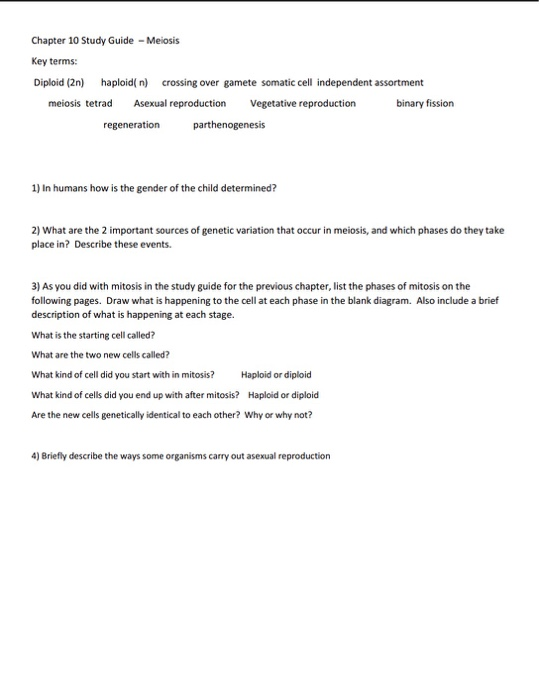 Solved Chapter 10 Study Guide Meiosis Key terms: Diploid | Chegg.com