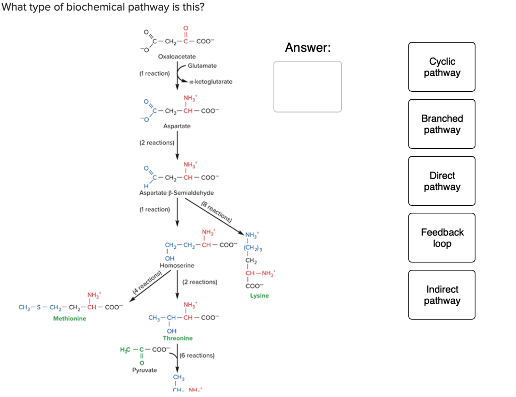 Solved What type of biochemical pathway is this? -CH2- COO | Chegg.com