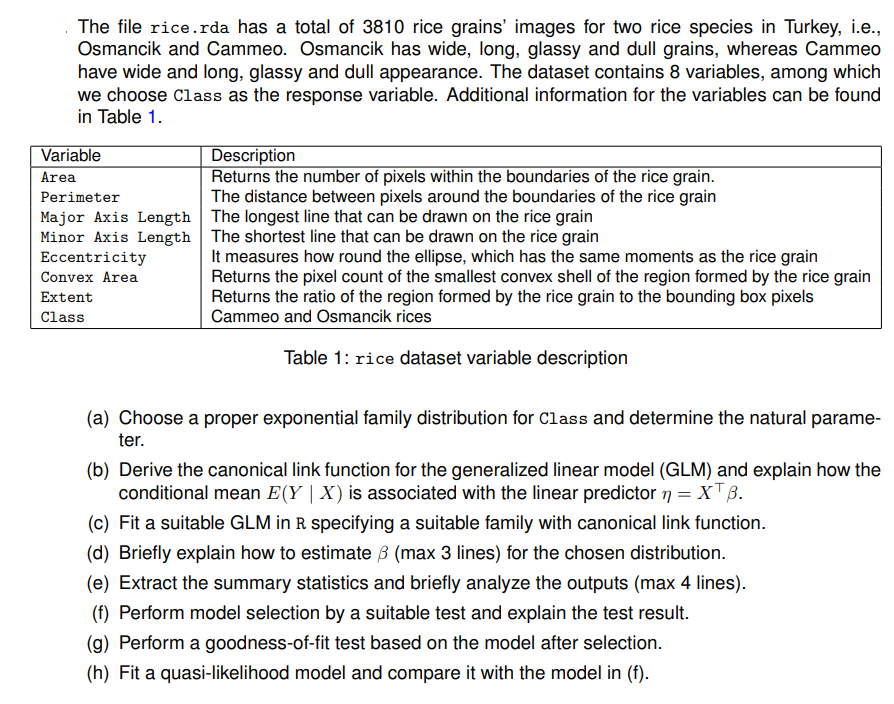 Solved The file rice.rda has a total of 3810 ﻿rice grains' | Chegg.com