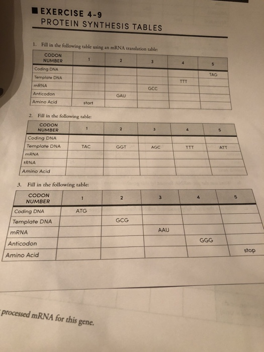 Solved EXERCISE 4-9 PROTEIN SYNTHESIS TABLES 1. Fill in | Chegg.com
