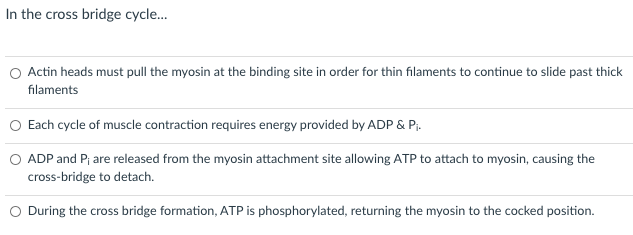 Solved The cross bridge cycle is... (SELECT ALL THAT APPLY) | Chegg.com
