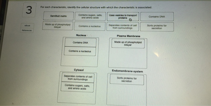 Solved Can you help me with where semi fluid matrix goes and | Chegg.com