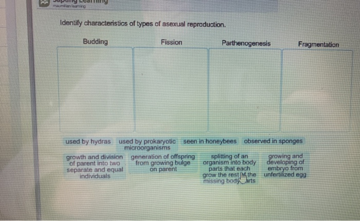Solved Identify characteristics of types of asexual | Chegg.com
