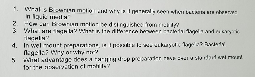 Solved 1. What is Brownian motion and why is it generally | Chegg.com
