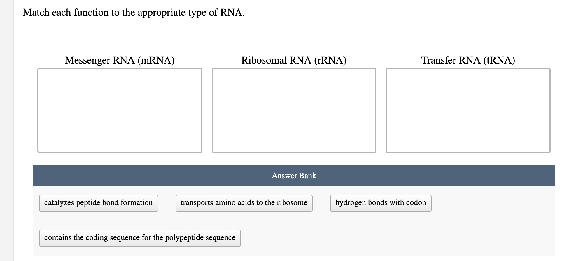 Solved Match each function to the appropriate type of RNA. | Chegg.com