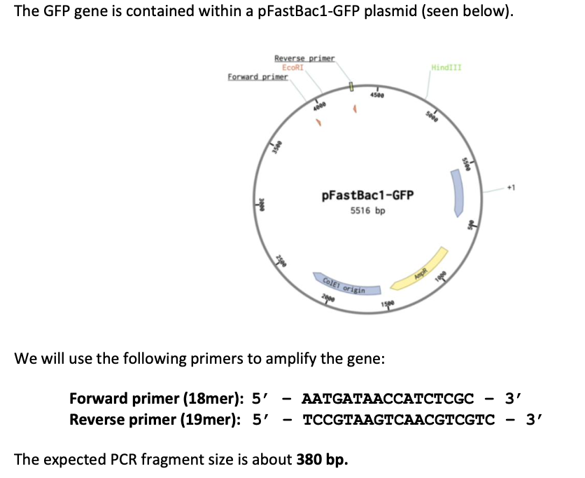 Hi! Can you please show me how the equation of how | Chegg.com