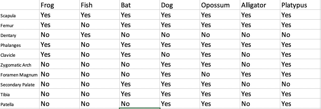 Solved The table below is the character matrix showing | Chegg.com