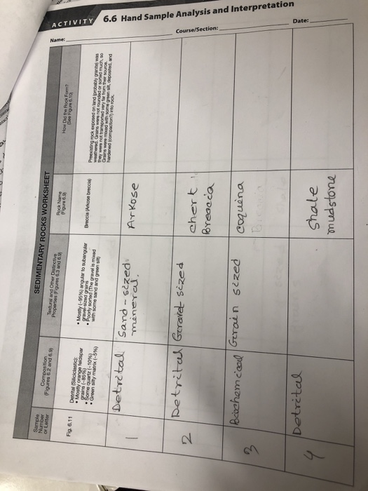 Solved ACTIVITY 6.6 Hand Sample Analysis and Interpretation | Chegg.com