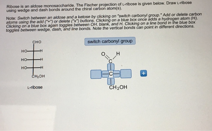 Ribose is an aldose monosaccharide. The Fischer | Chegg.com