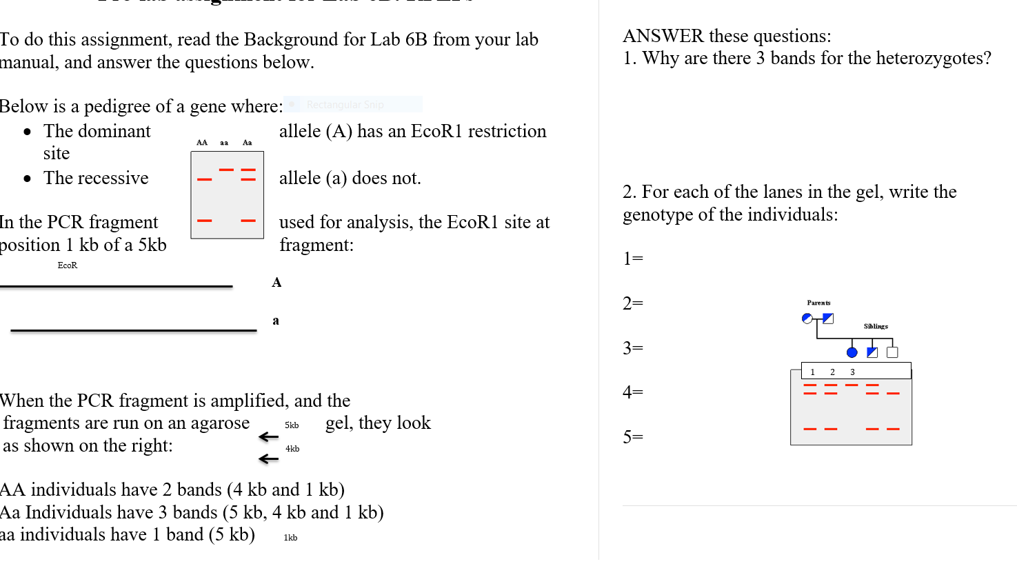 Solved To do this assignment, read the Background for Lab 6B | Chegg.com