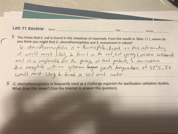 Solved Lab 11 Review Name Date Section 5 You know that E. | Chegg.com
