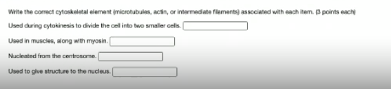 Solved Write the correct cytoskeletal element microtubules, | Chegg.com