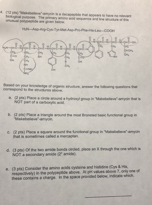 Solved 4. (12 pts) "Makebelieve"-amycin is a decapeptide | Chegg.com