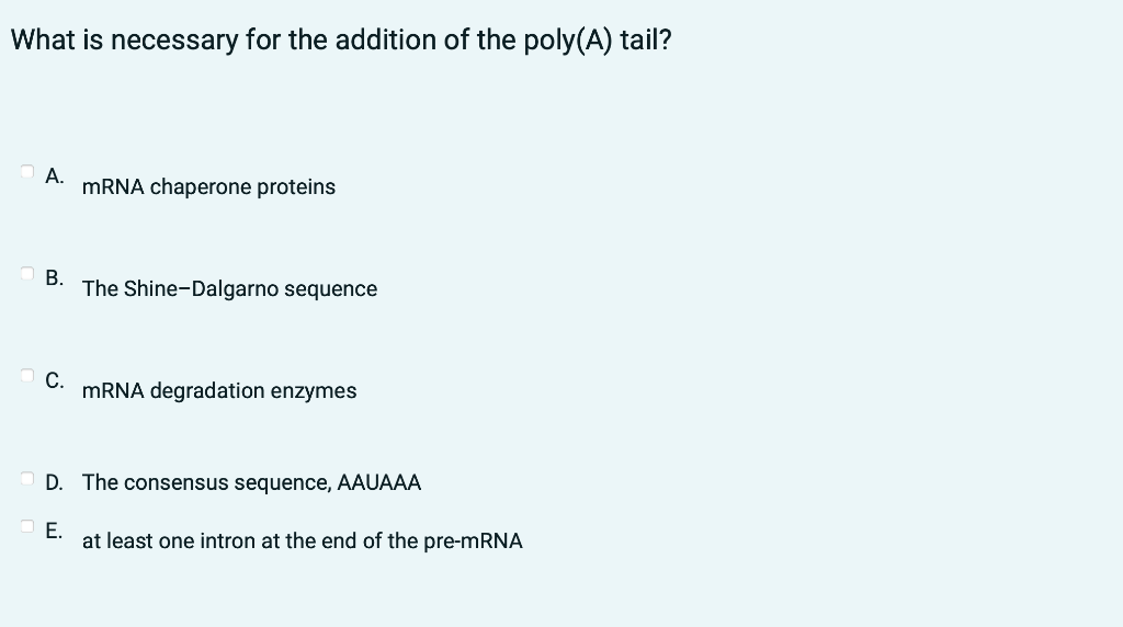 What is necessary for the addition of the poly (A) | Chegg.com