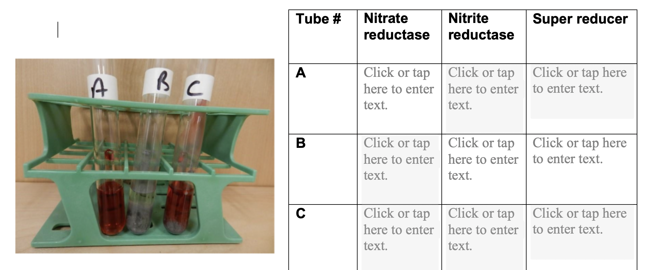 Solved Test interpretation: A. Addition of reagents A and B: | Chegg.com