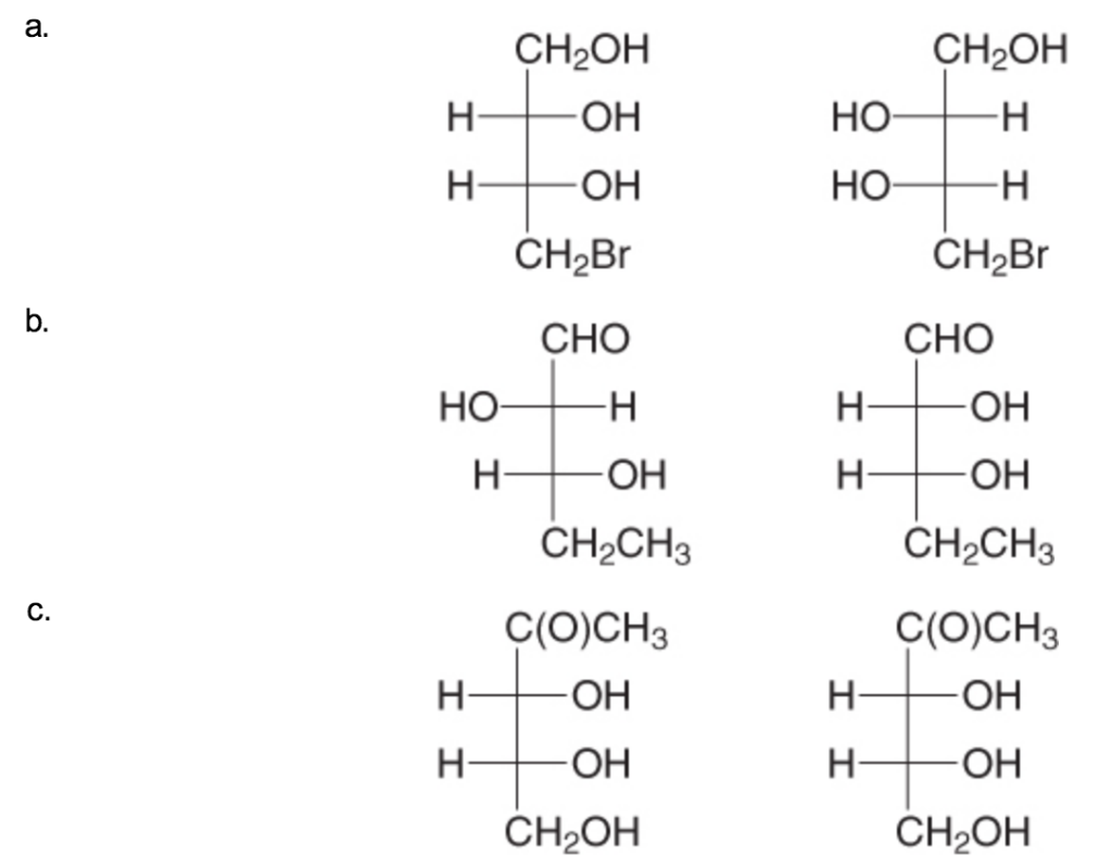 Solved A. Shown below are Newman projection formulas | Chegg.com