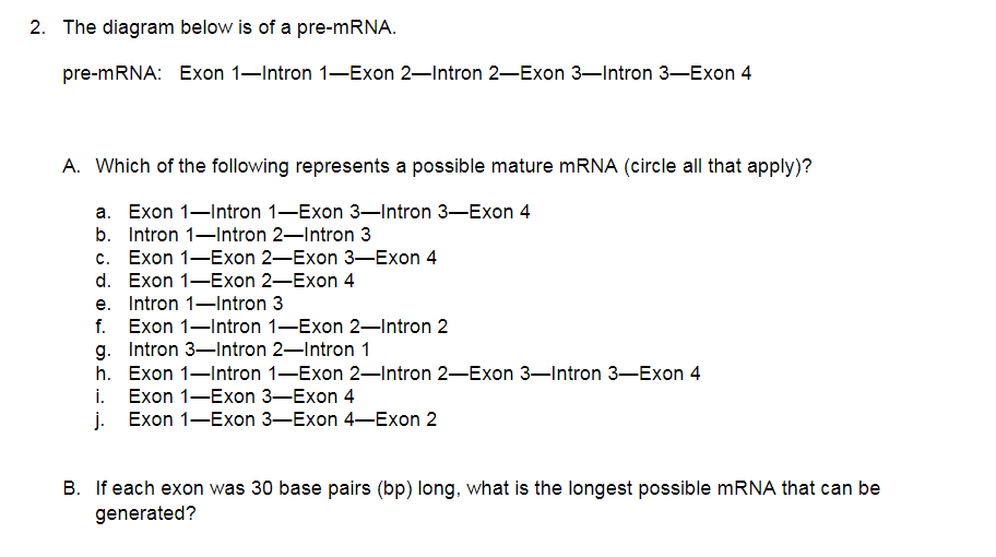 Solved The diagram below is of a pre-mRNA. pre-mRNA: Exon | Chegg.com