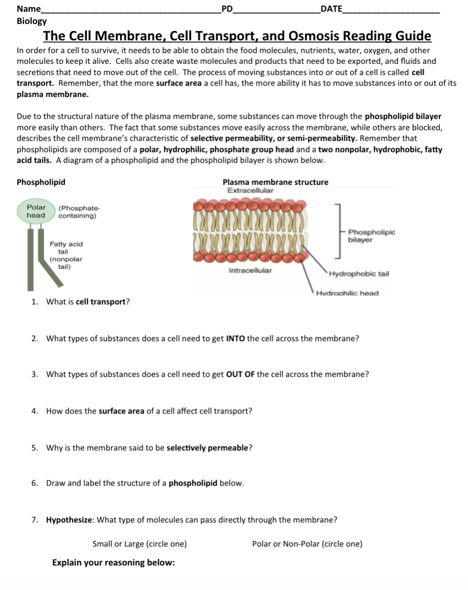 Solved The Cell Membrane, Cell Transport, and Osmosis | Chegg.com
