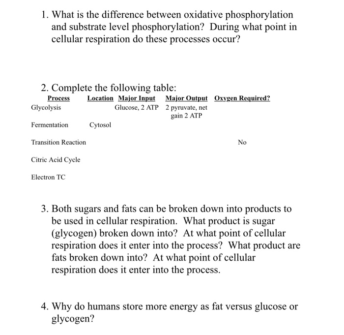Solved 1 What Is The Difference Between Oxidative 6885