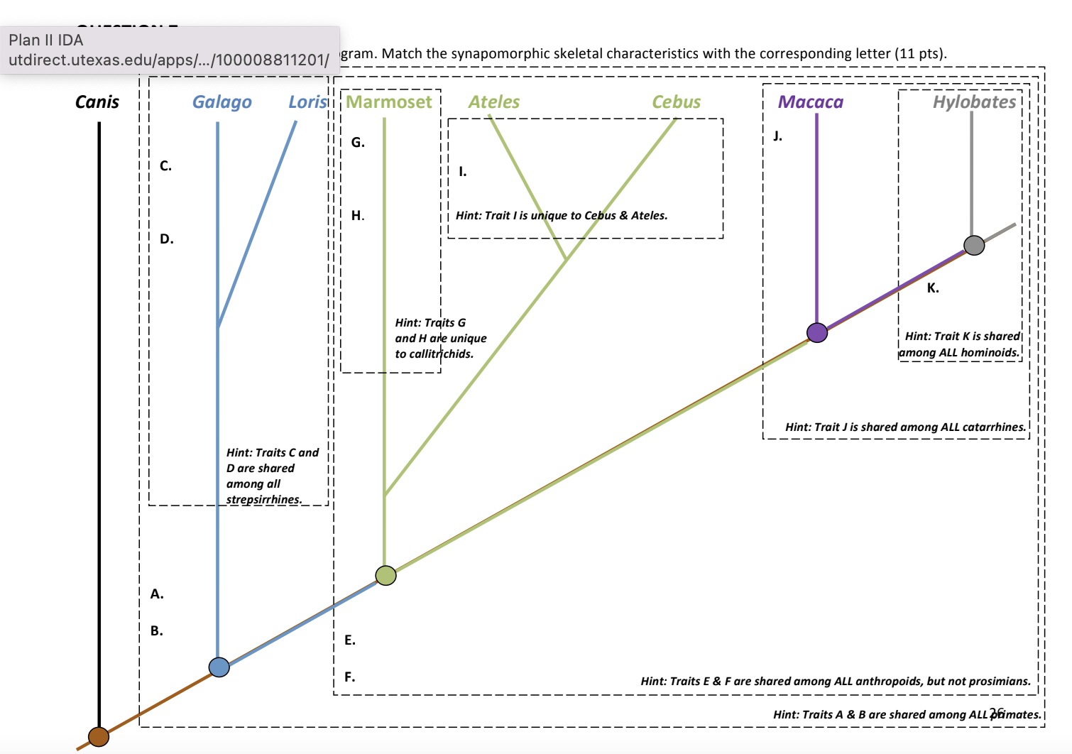 Solved Figure 1: Character mapping onto a cladogram. Match | Chegg.com