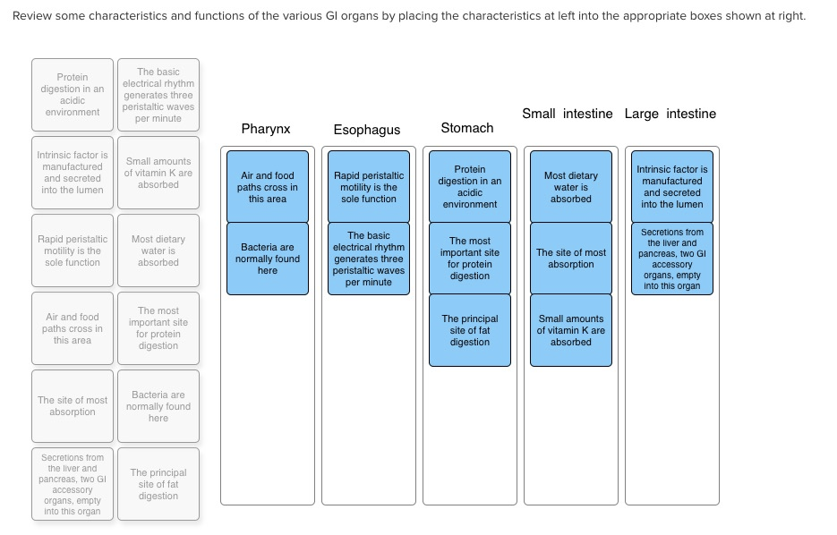 Anatomy And Physiology Archive | November 30, 2018 | Chegg.com