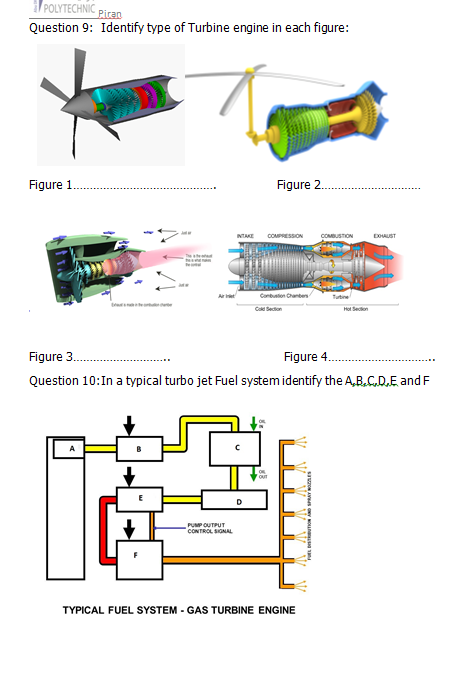 Solved POLYTECHNIC Picas Question 9: Identify type of | Chegg.com