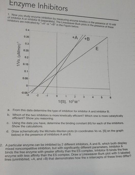 Enzyme Inhibitors 1. Now you study enzyme inhibition | Chegg.com