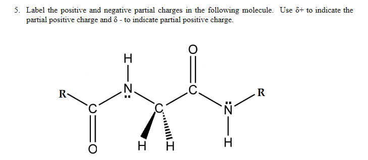 Solved 5. Label the positive and negative partial charges in | Chegg.com