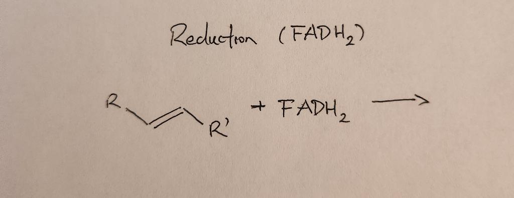 Solved Reduction (FADH2 ) RR′+FAD2 | Chegg.com