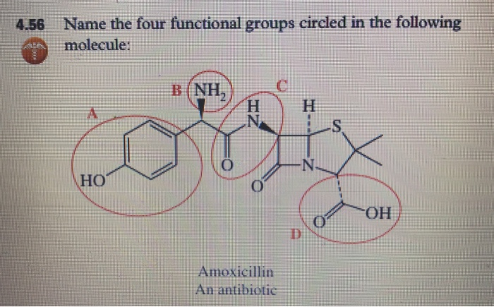 Solved Name the four functional groups circled in the | Chegg.com