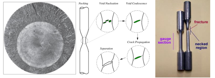 Solved Necking Void Nucleation Void Coalescence 여 fracture | Chegg.com