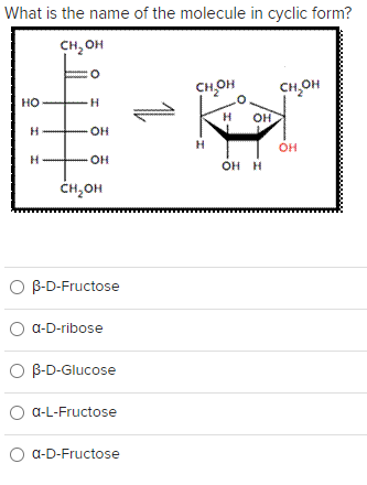 Solved What is the name of the molecule in cyclic form? сн, | Chegg.com