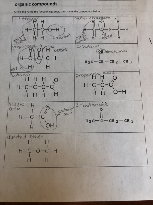 Solved organic compounds Circle and name the functional | Chegg.com