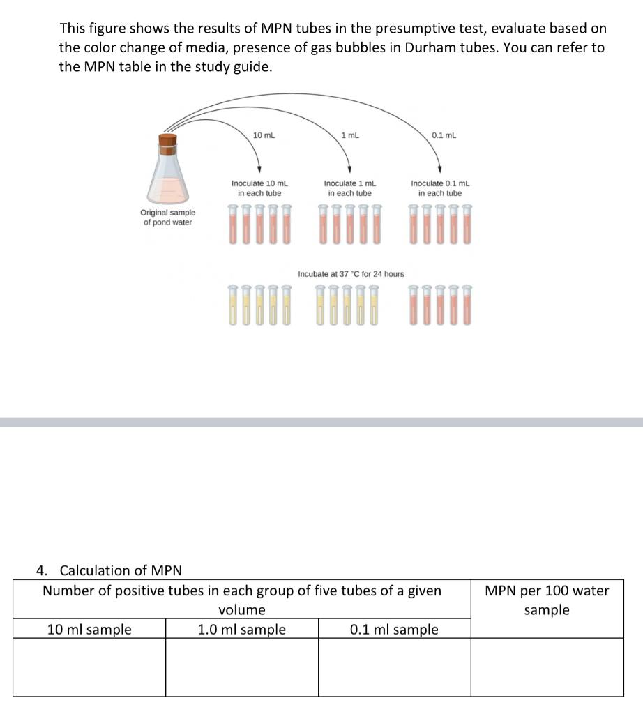 This figure shows the results of MPN tubes in the | Chegg.com