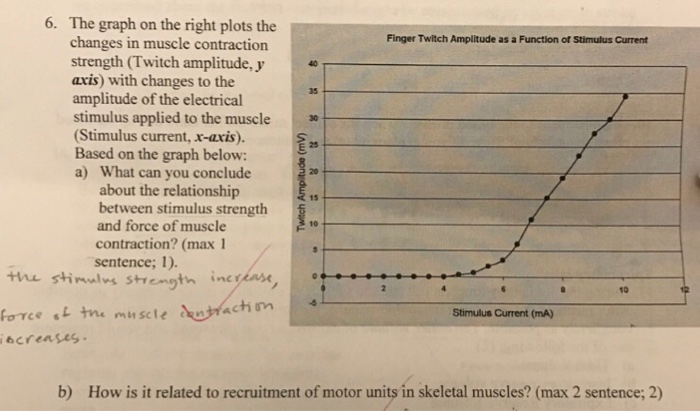 Solved The graph on the right plots the changes in muscle | Chegg.com