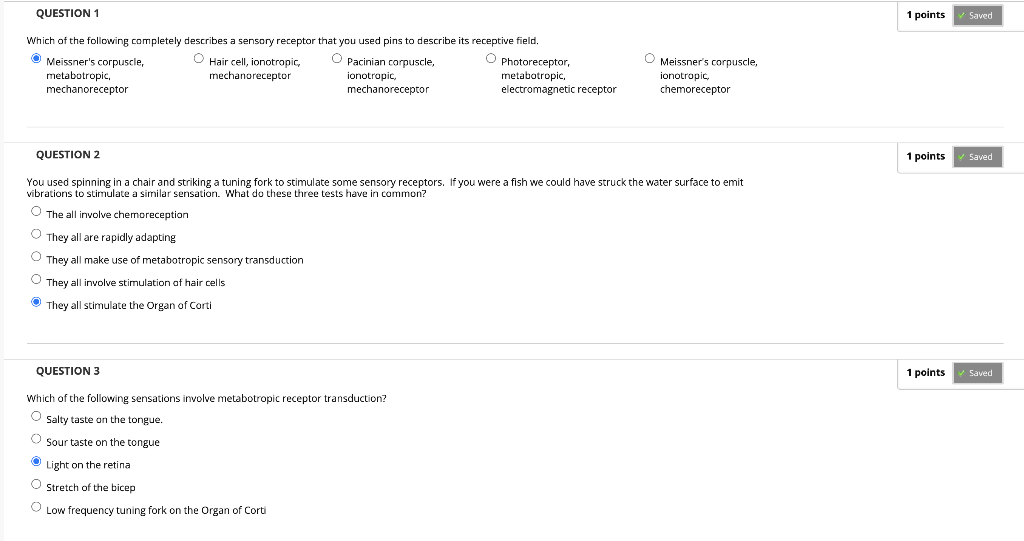 Solved PLEASE ANSWER THE FOLLOWING: (no explanation needed | Chegg.com