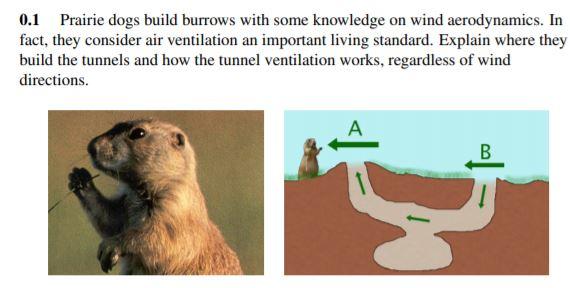 Solved 0.1 Prairie dogs build burrows with some knowledge on | Chegg.com