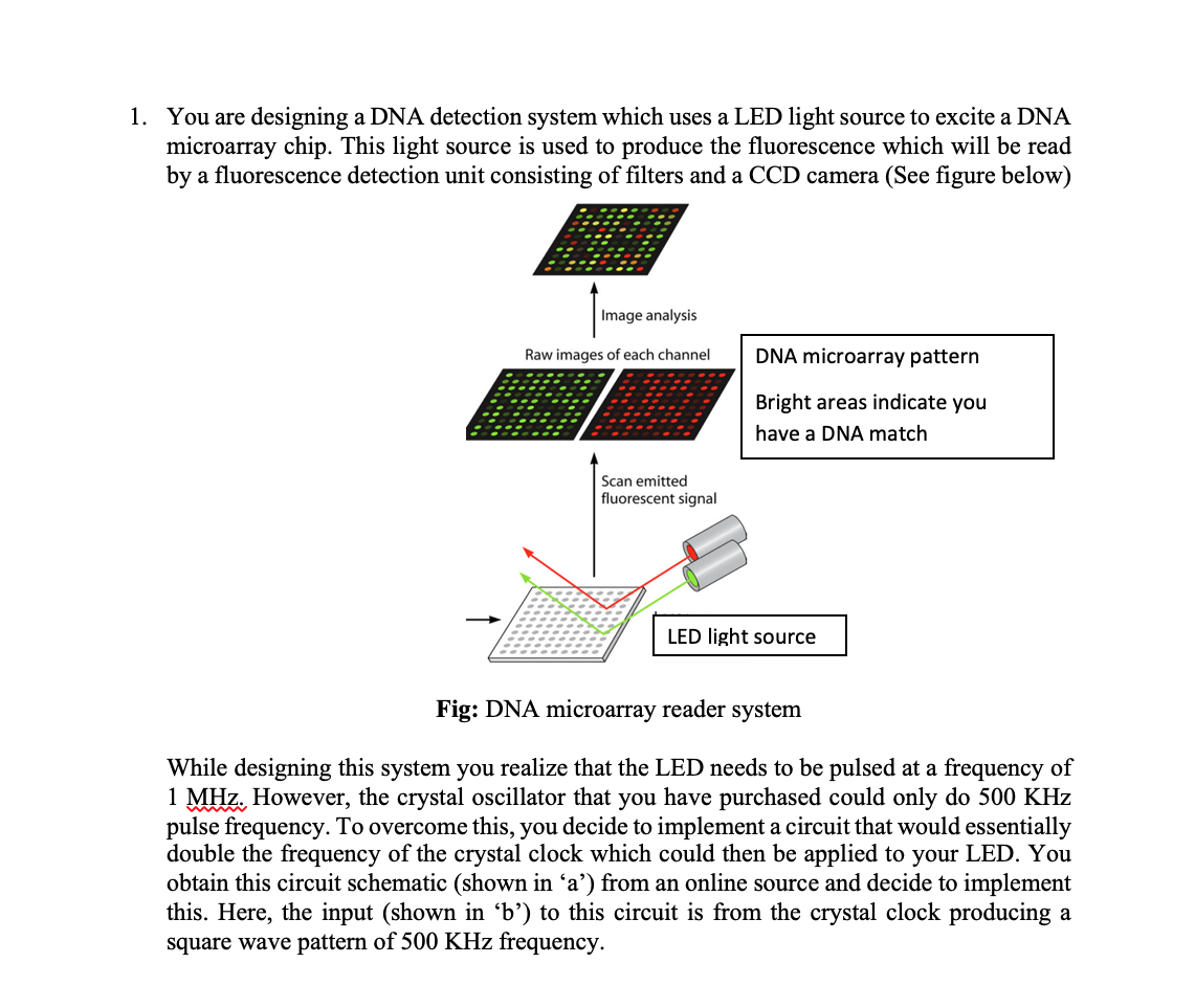1. You are designing a DNA detection system which | Chegg.com