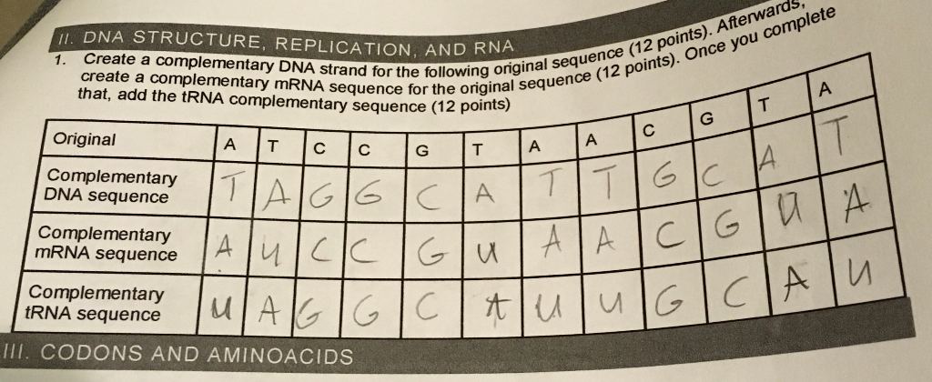 Solved 1. DNA STRUCTURE, REPLICATION AND RNA 1. Create a | Chegg.com