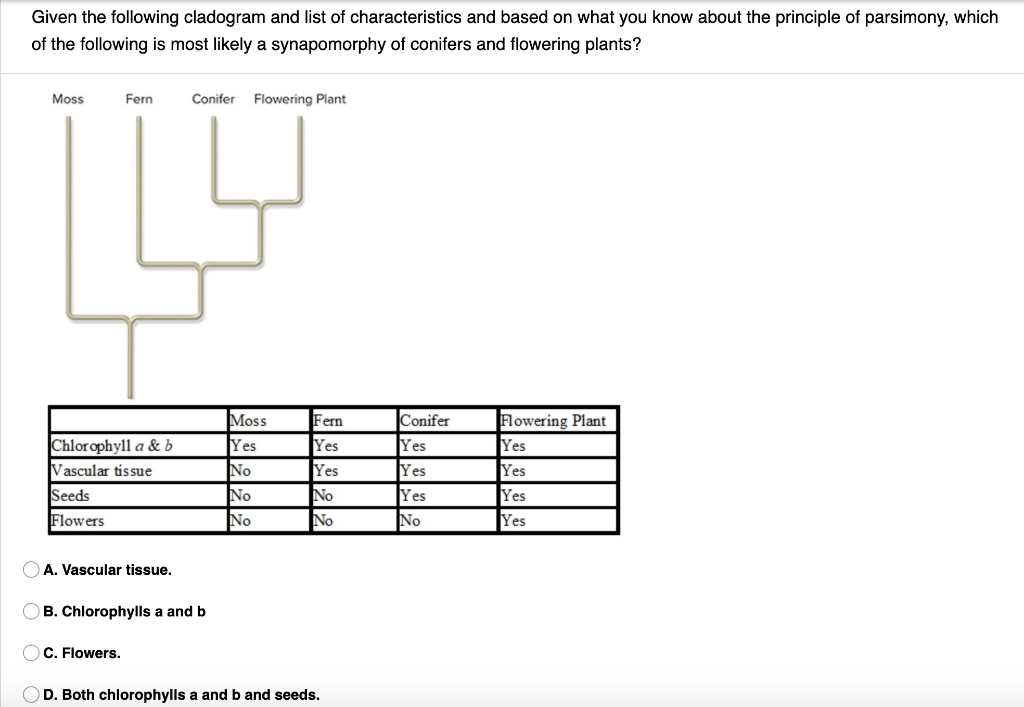 Solved: Given The Following Cladogram And List Of Characte... | Chegg.com
