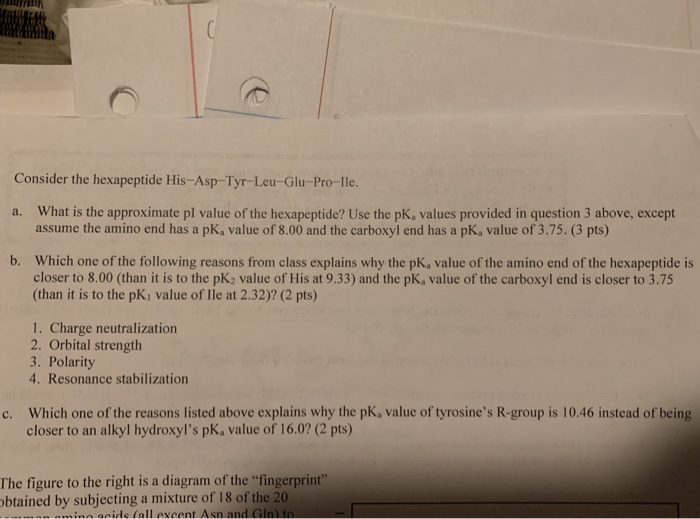 Solved Consider the hexapeptide His-Asp-Tyr-Leu-Glu-Pro-lie. | Chegg.com