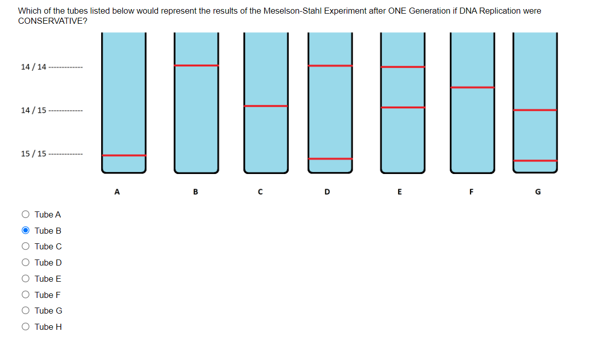 Solved Which strands pictured below are the Leading Strands? | Chegg.com