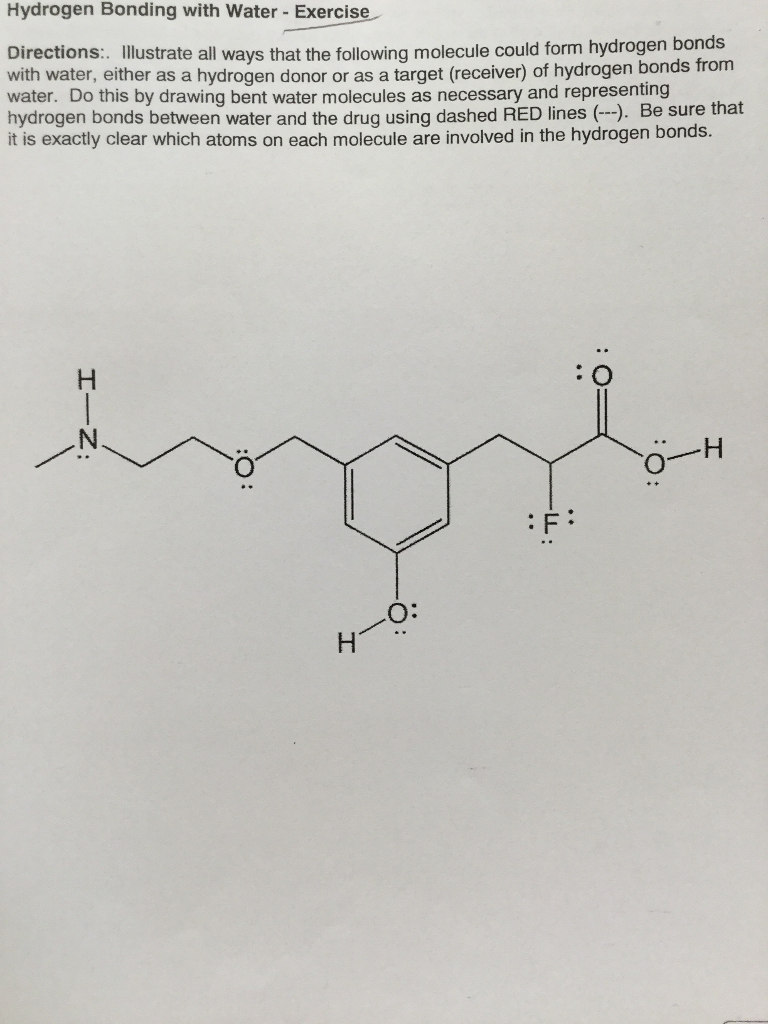 Solved Hydrogen Bonding with Water - Exercise Directions:. | Chegg.com