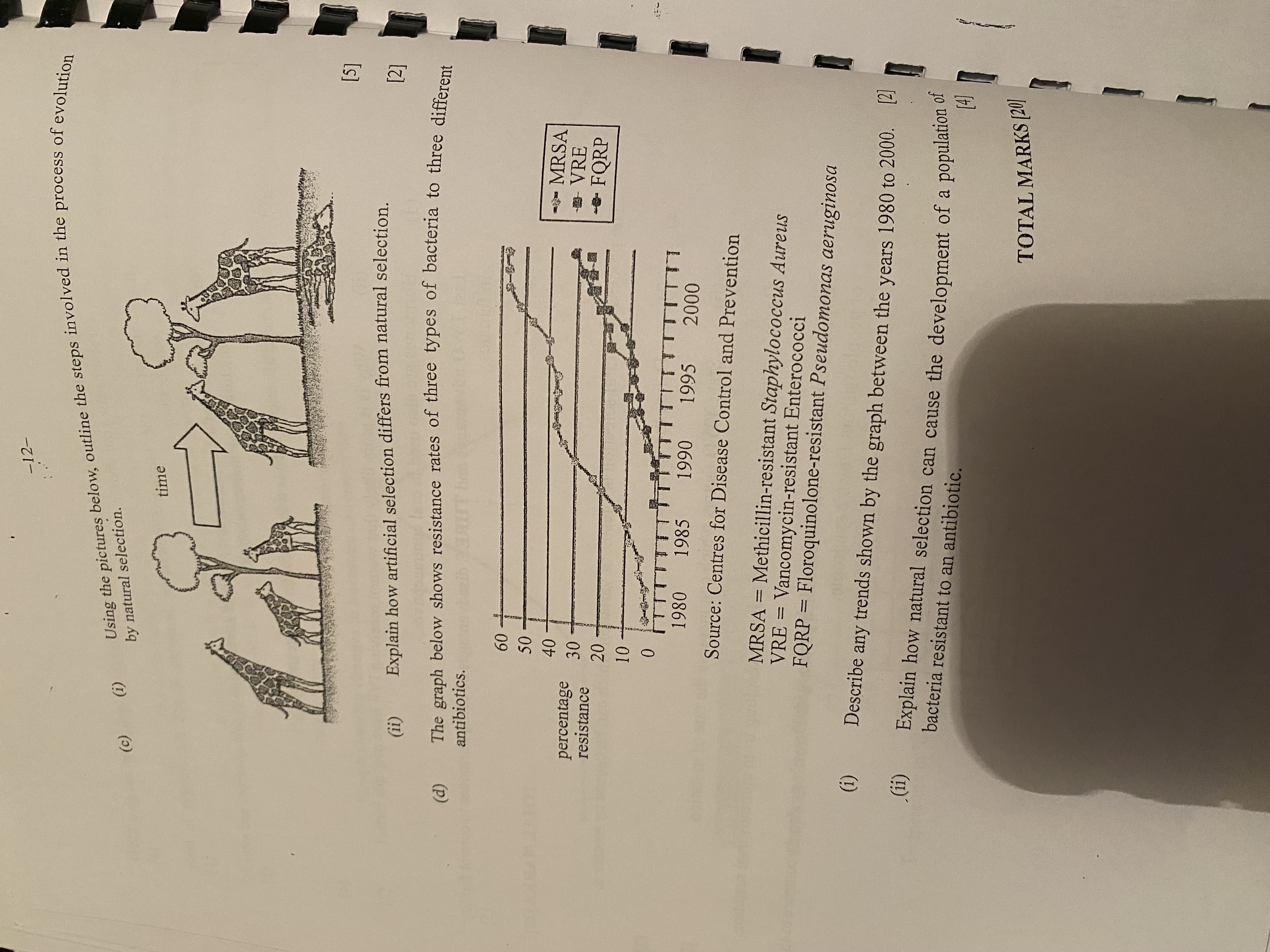 Solved (i) ﻿Using the pictures below, outline the steps | Chegg.com