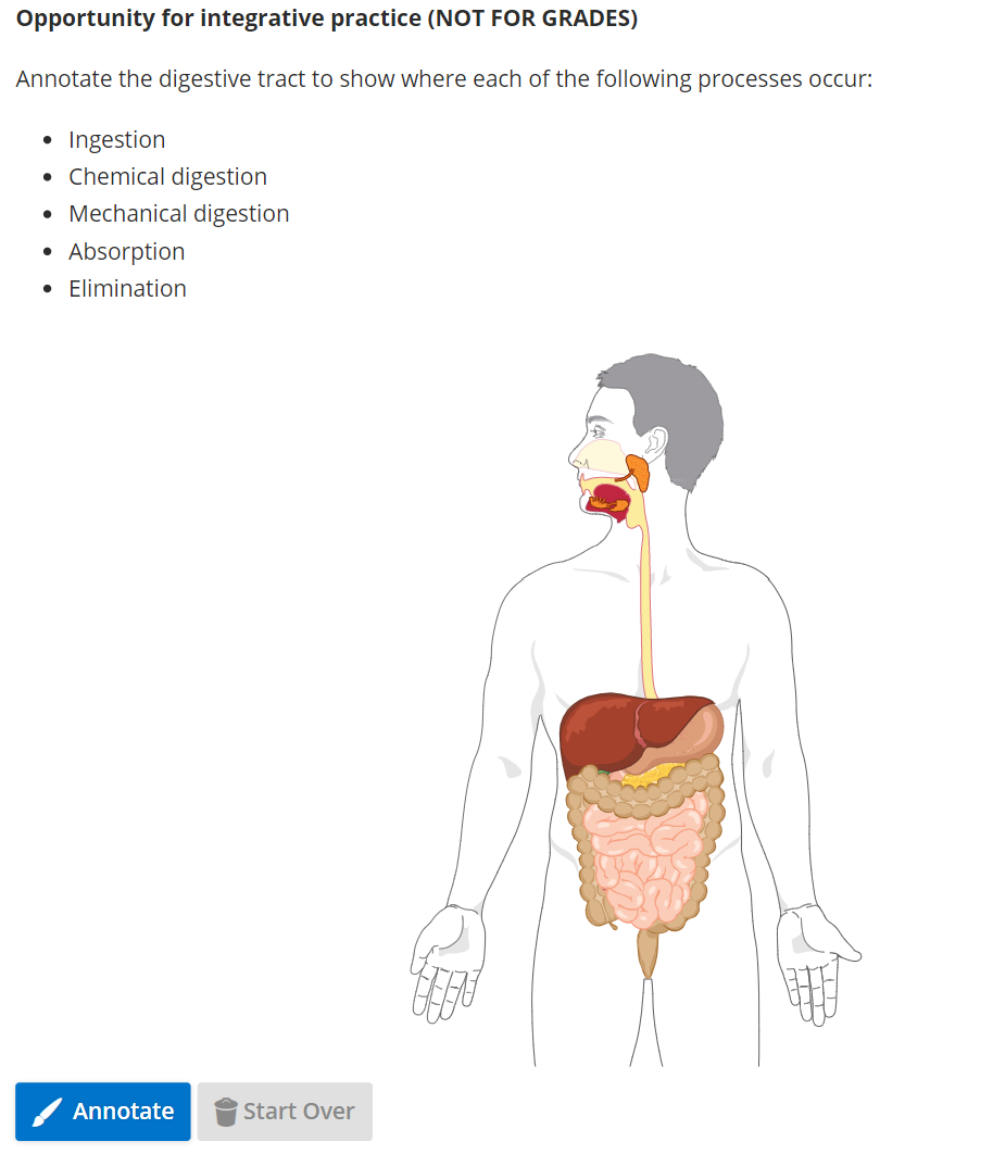 Solved Opportunity for integrative practice (NOT FOR GRADES) | Chegg.com
