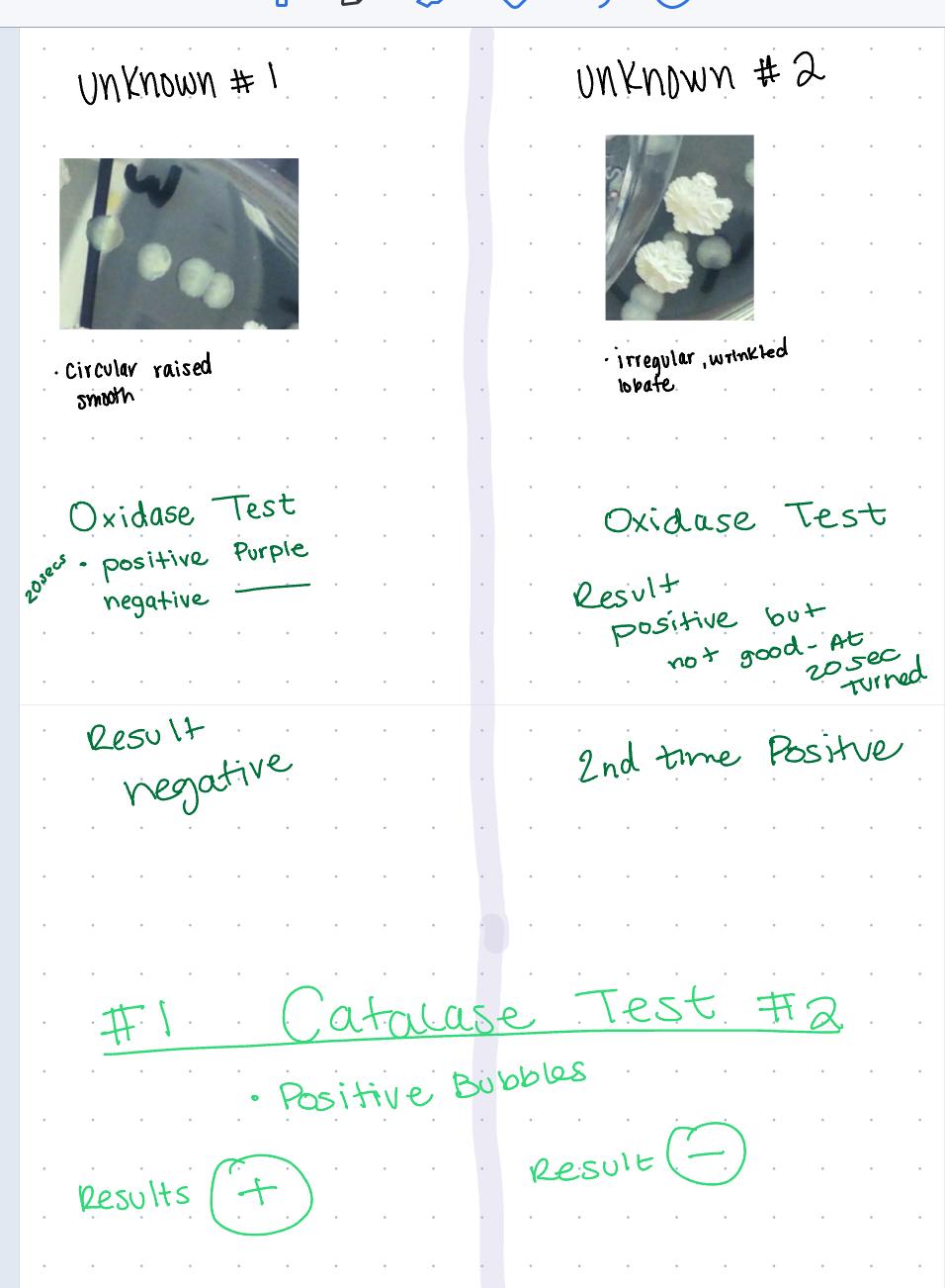 I am conducting test to figure out my unknown, please | Chegg.com