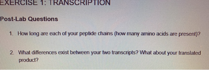 Solved EXERCISE 1: TRANSCRIPTION Post-Lab Questions 1. How | Chegg.com Solved EXERCISE 1: TRANSCRIPTION Post-Lab Questions 1. How | Chegg.com