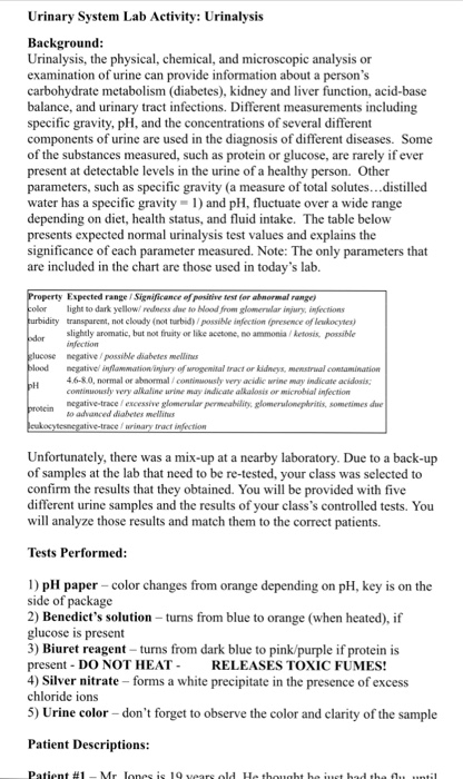 Solved Urinary System Lab Activity: Urinalysis Background | Chegg.com