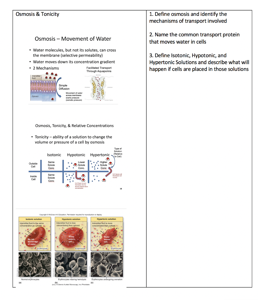 Osmotic Pressure Definition Formula Examples Solved